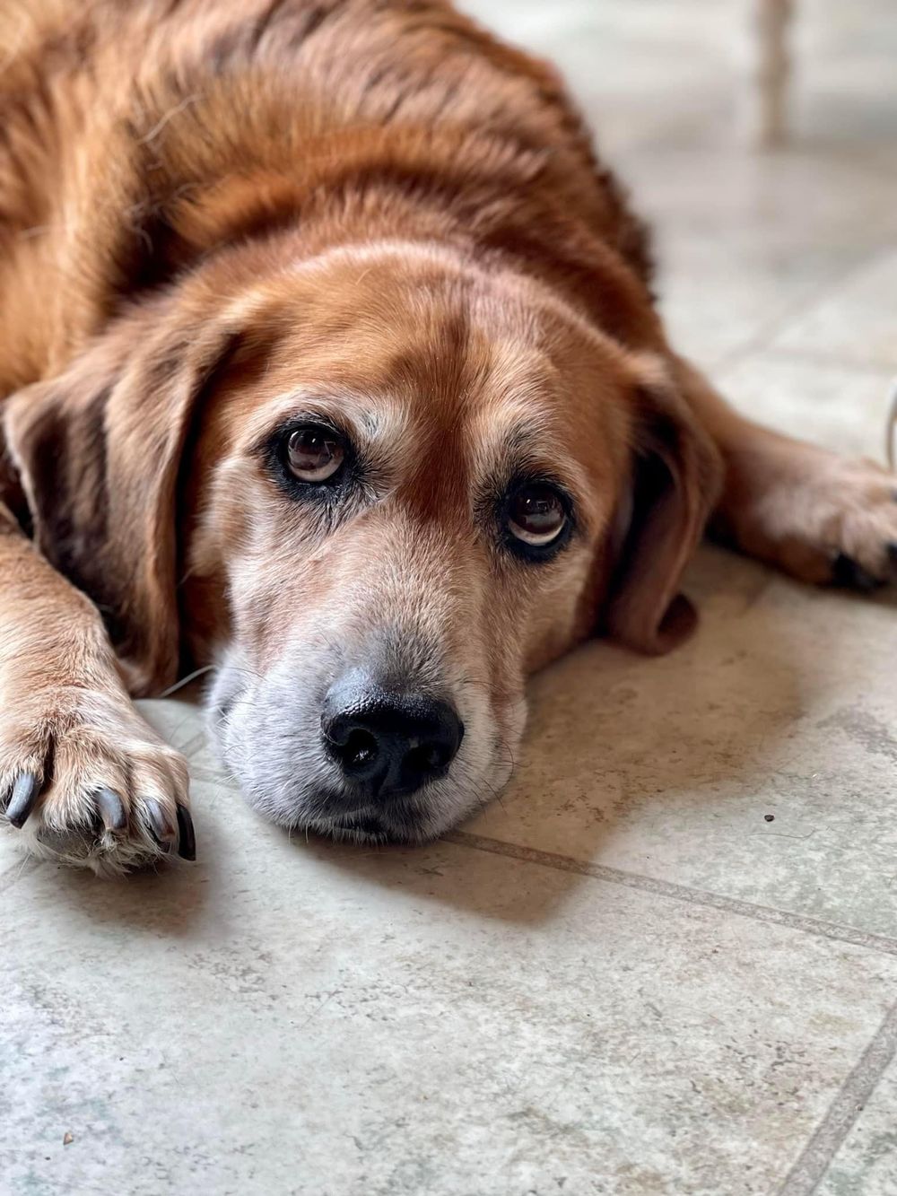 The astrology of grief.